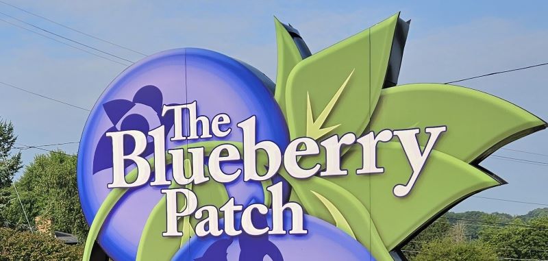 The Blueberry Patch – RVing With a Purpose